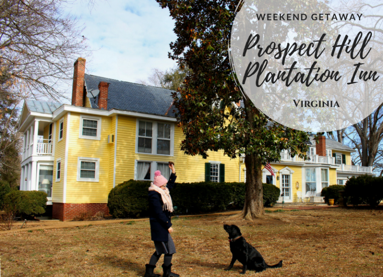 Prospect Hill: A Virginia B&B Packed with Charm & History | Wanderlust ...