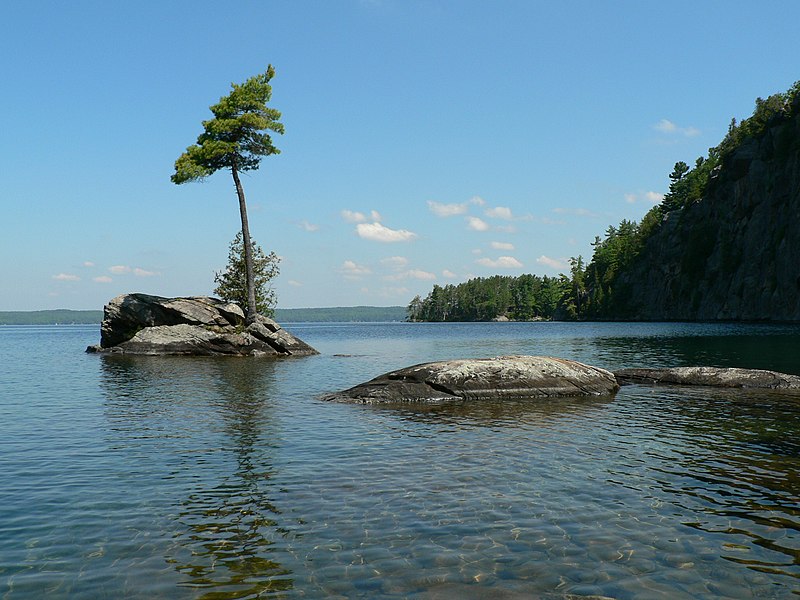 5 Exciting Reasons to Visit Muskoka for a Family Vacation In 2024 ...