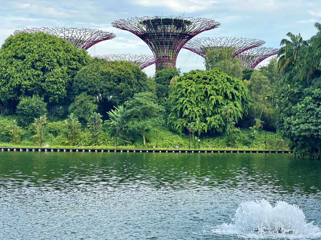 Tokyo or Singapore: Which is a Better Fit for You to Visit ...