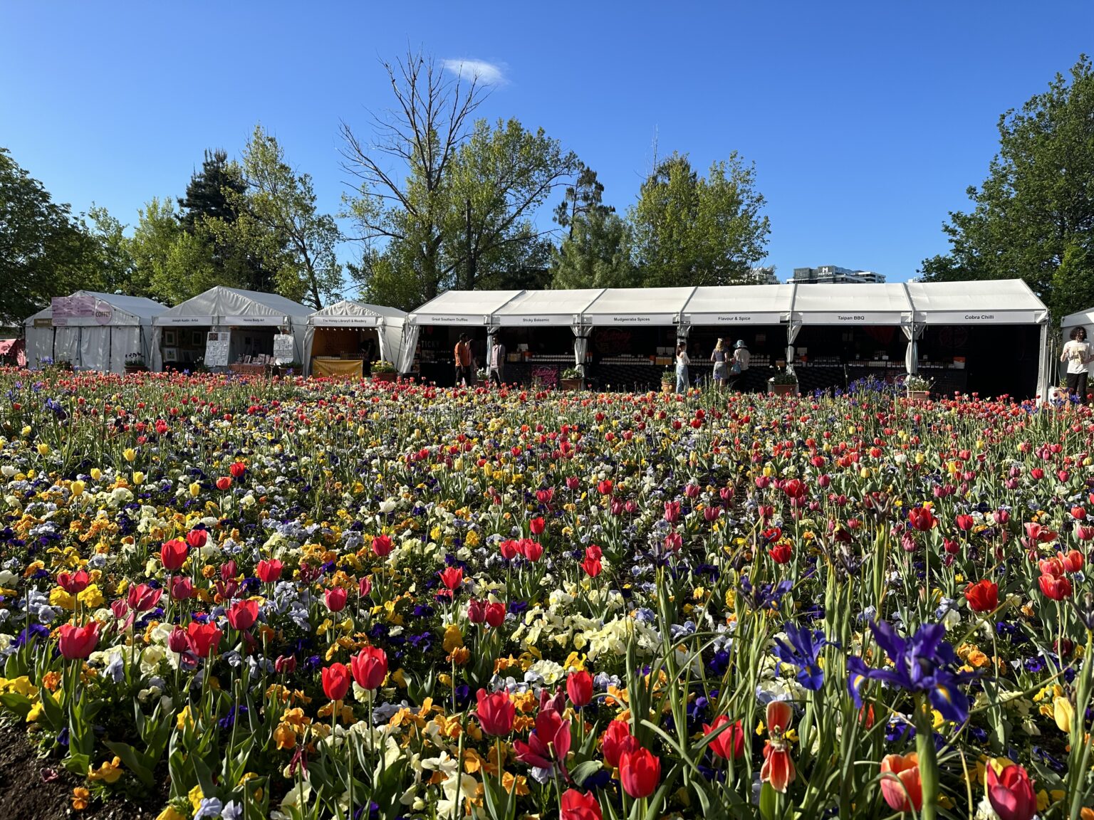 Is Canberra Worth Visiting During a Trip to Australia? | Wanderlust ...